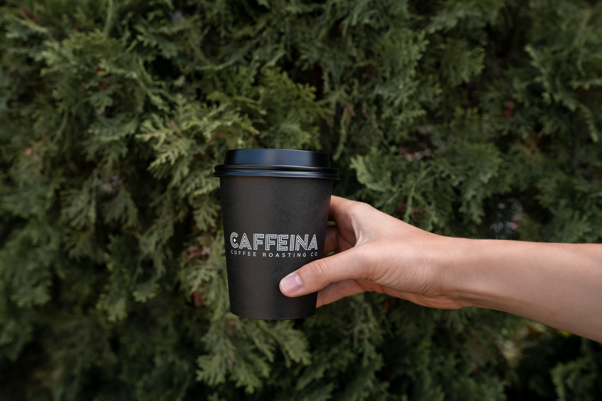 Caffeina Coffee Roasting Company - Wholesale Partners